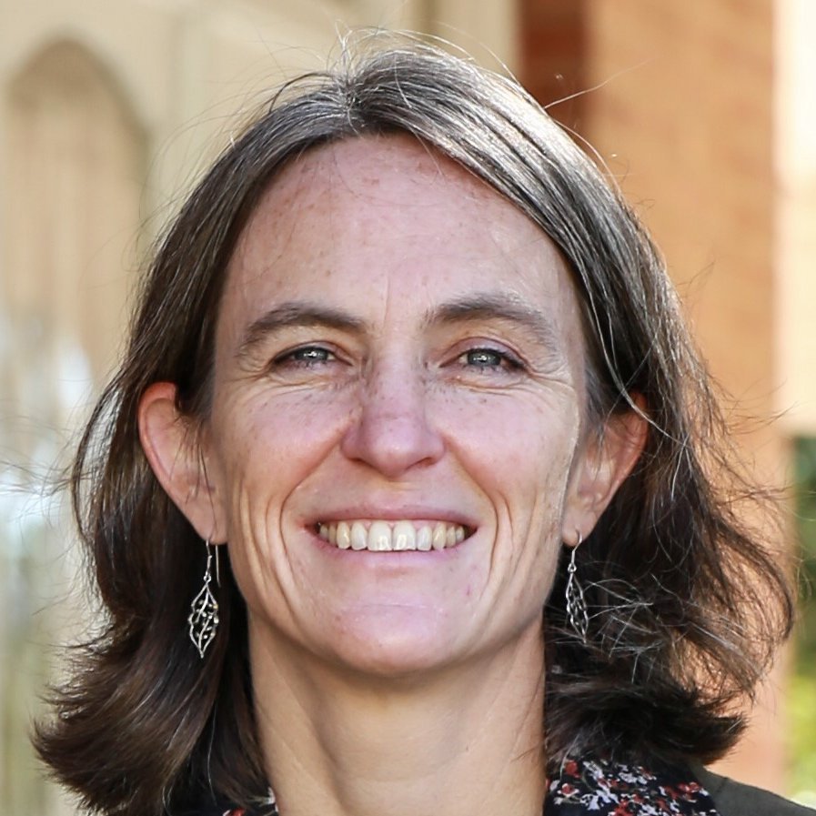 Distinguished Guest Lecture: In Search of Alternatives to Development ...