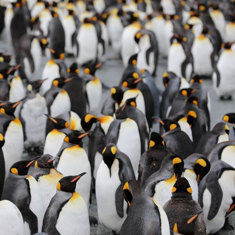 Come together! EADI Member Forum at EADI CEsA conference, 12 July 2023, 17:00 to 19:30 UTC+1, Lisbon