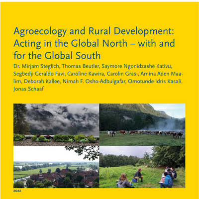 EADI: European Association of Development Research and Training ...